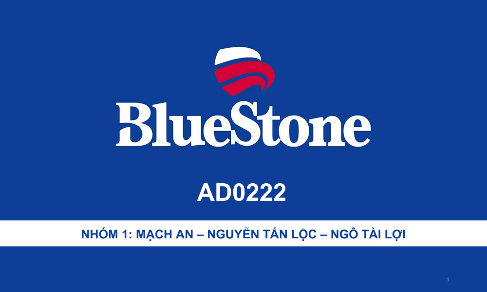 MÁY XAY SINH TỐ BLUESTONE - Bold Creative Training Lab